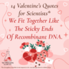 14 Best Valentines for Scientists